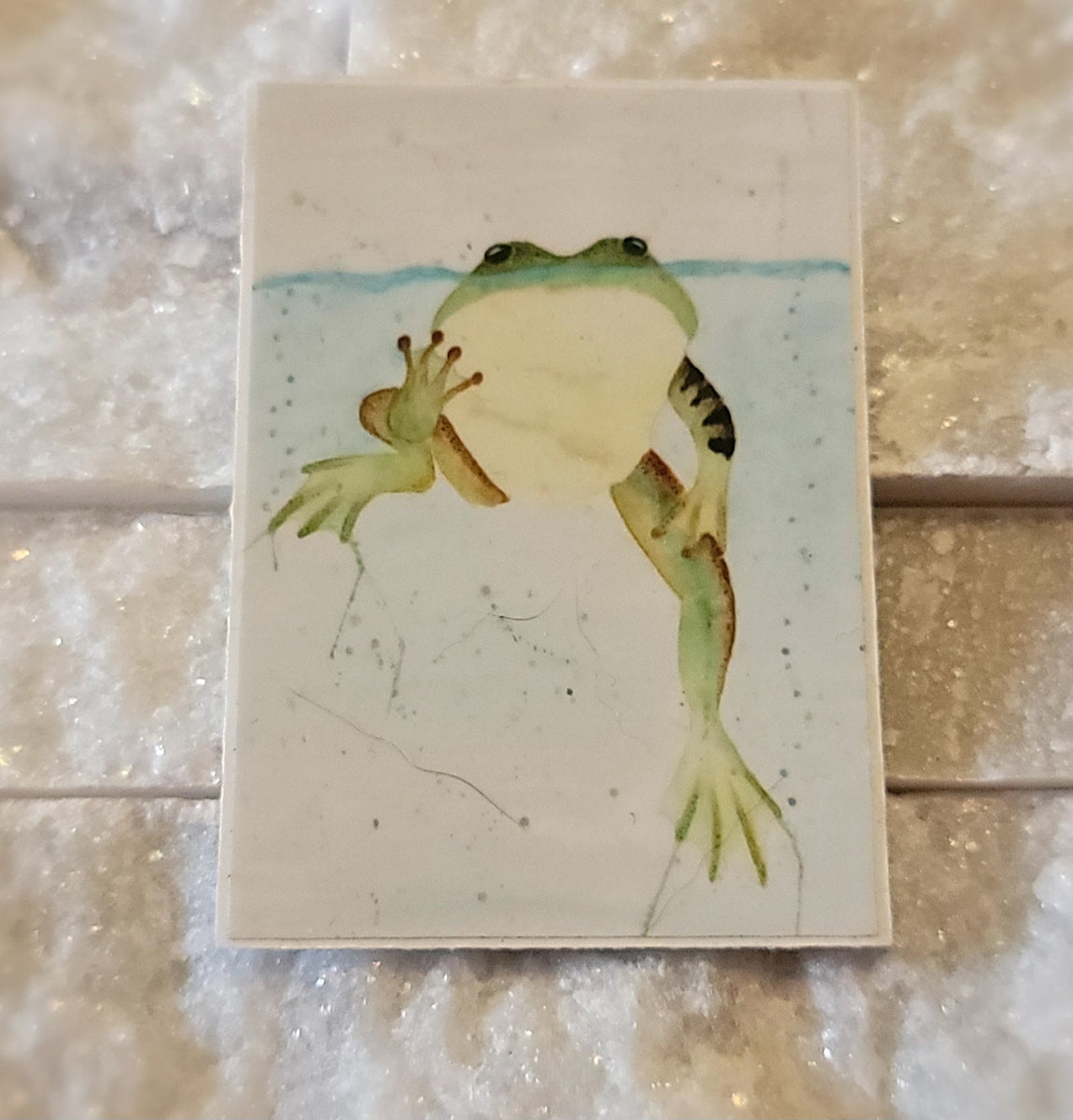 White "Mac" Frog Sticker – Mosaic Jellyfish